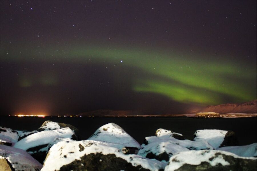 Reykjavik: 2-Hour Imagine Peace Tower Tour - What to Expect from the Tour