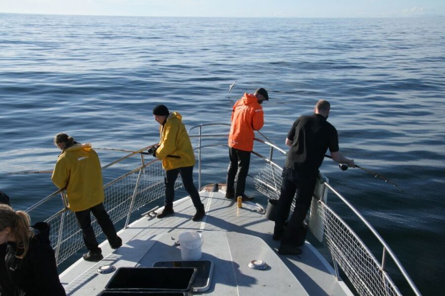 Reykjavik: 3-Hour Sea Angling Gourmet Experience Tour - A Deep Dive into the Experience