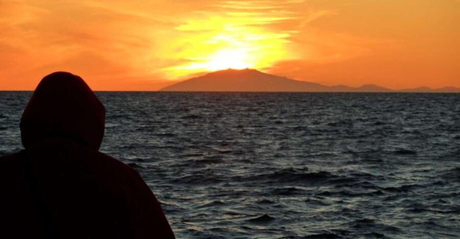 Reykjavik: Midnight Sun Whale Watching Tour - Value and Practical Considerations