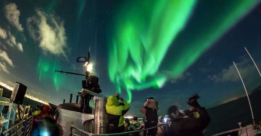 Reykjavik: Northern Lights Guided Boat Tour - The Experience: Authentic, Practical, and Memorable