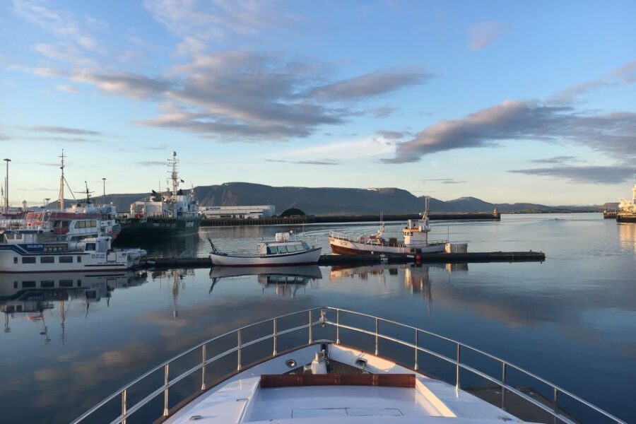Reykjavik: Whale Watching and Dolphin Watching Yacht Cruise - The Sum Up