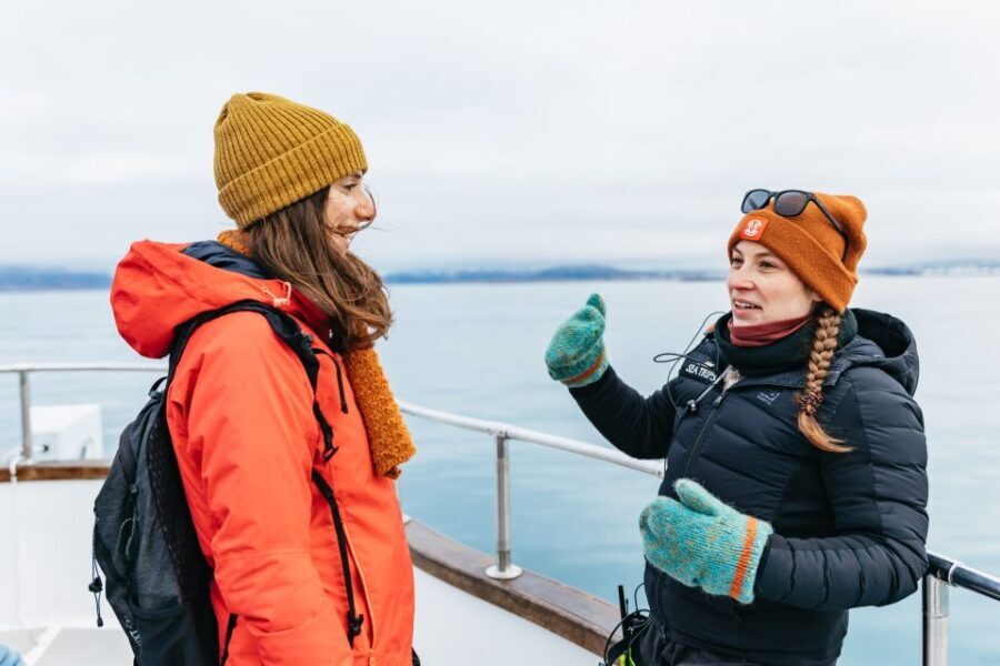 Reykjavík: Whale Watching Cruise on the Amelia Rose Yacht - What Youll Love About the Yacht