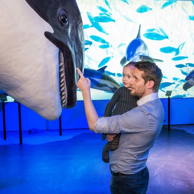 Reykjavik: Whale Watching Tour, Whales of Iceland Exhibition - The Value and Overall Experience