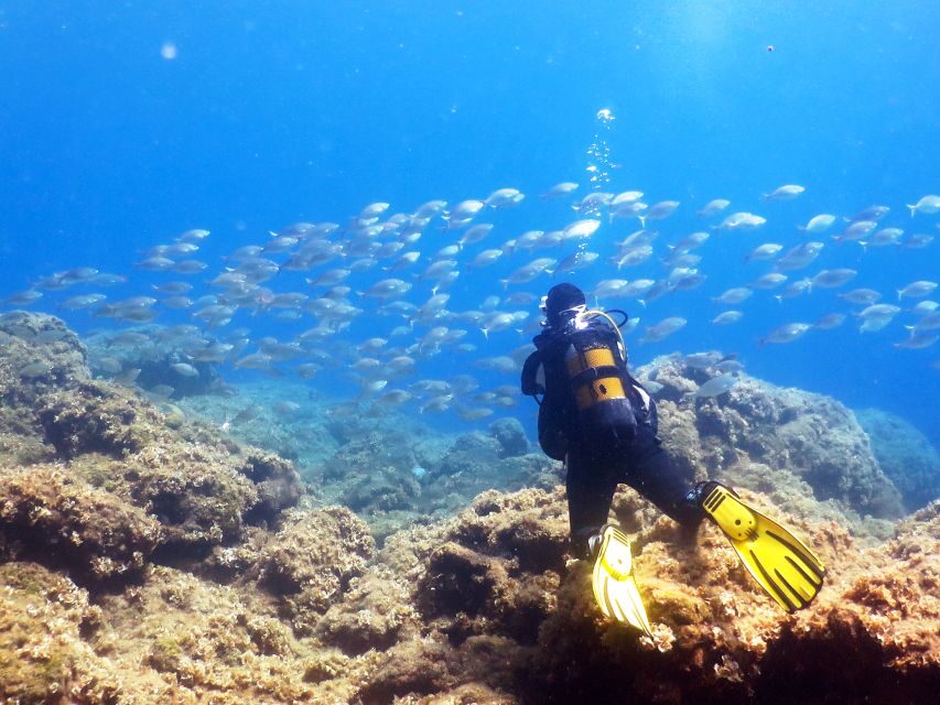 Rhodes: Diving Adventure for Beginners and Experts - The Real Value for Travelers