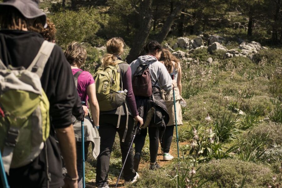 Rhodes: Hiking Tour to the Summit of Akramitis with Photos - What to Expect on the Trail