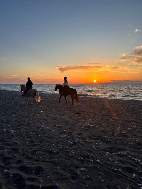 Rhodes: Horseback Riding Trip with Digital Photos - A Day in the Life: The Itinerary Breakdown