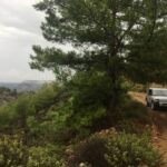 Rhodes North Safari: Hidden Paths & Scenic Flavors - Why Is This Tour a Good Value?
