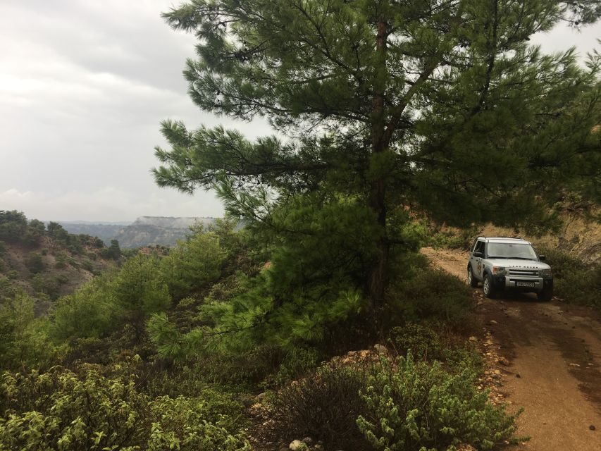 Rhodes North Safari: Hidden Paths & Scenic Flavors - Why Is This Tour a Good Value?