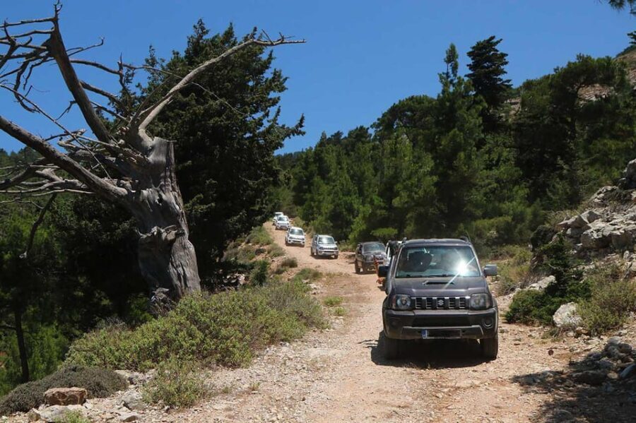 Rhodes: Self-Drive 4x4 Safari Tour with North Pickup - The Experience: Why It’s Worth It