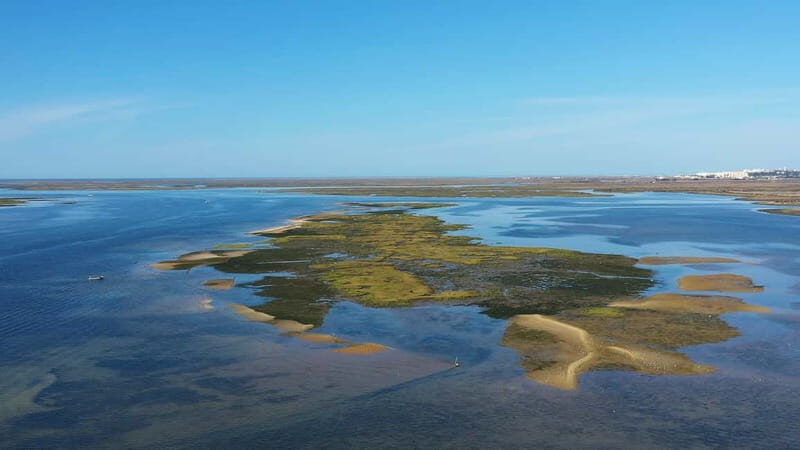 Ria Formosa: Armona and Culatra Islands 3-Hour Boat Tour - The Journey Through Ria Formosa: What to Expect