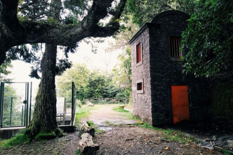 Ribeiro Frio - Portela - Levada do Furado - Who Will Enjoy This Tour?