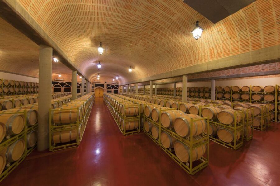 Ribera del Duero: Red Wine Discovery Tour with Tastings - The Details: What to Expect on the Tour
