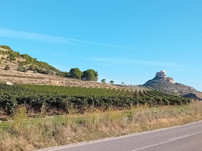 Ribera del Duero Tour: Three Wineries & Lunch from Madrid - What’s the Experience Like?