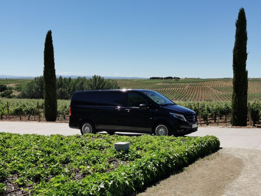 Ribera del Duero wine region private tour - Visiting a Modern Winery: Innovation Meets Nature
