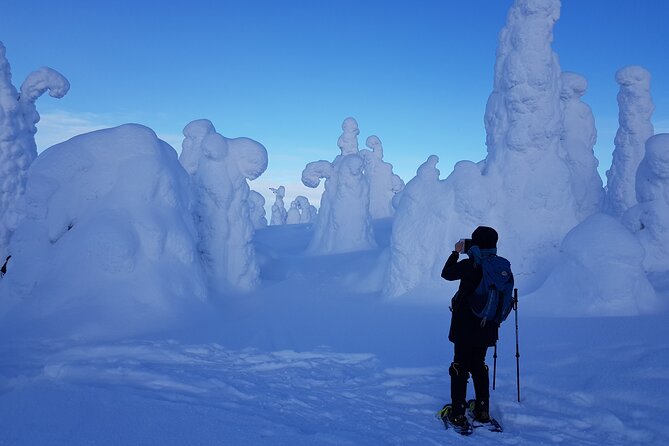 Riisitunturi National Park Snowshoe Experience - Key Points