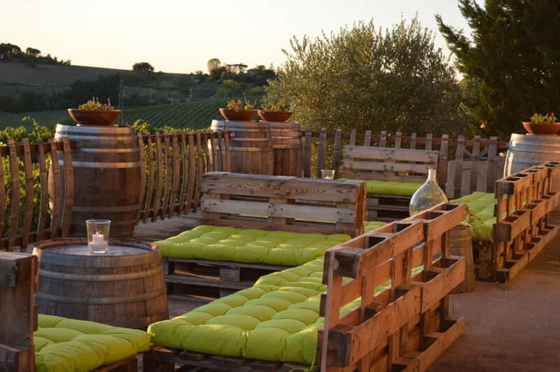 Rimini: San Valentino Vineyards Tour with DOC Wine Tastings - A Walk Through the Vineyards