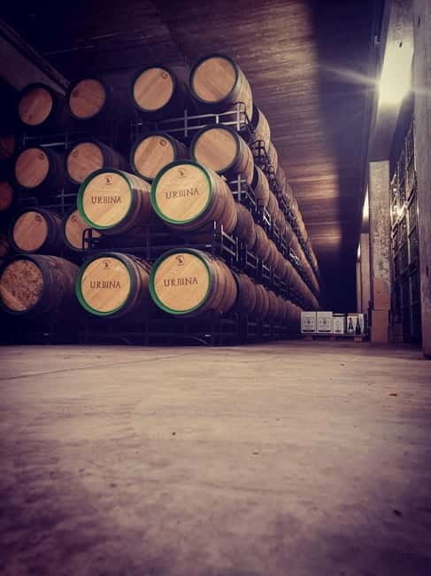 Rioja Day Tour: Explore Three Wineries with Tastings