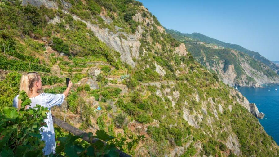Riomaggiore: Vineyard & Wine Cellar Tour with Wine Tasting - Value for Money