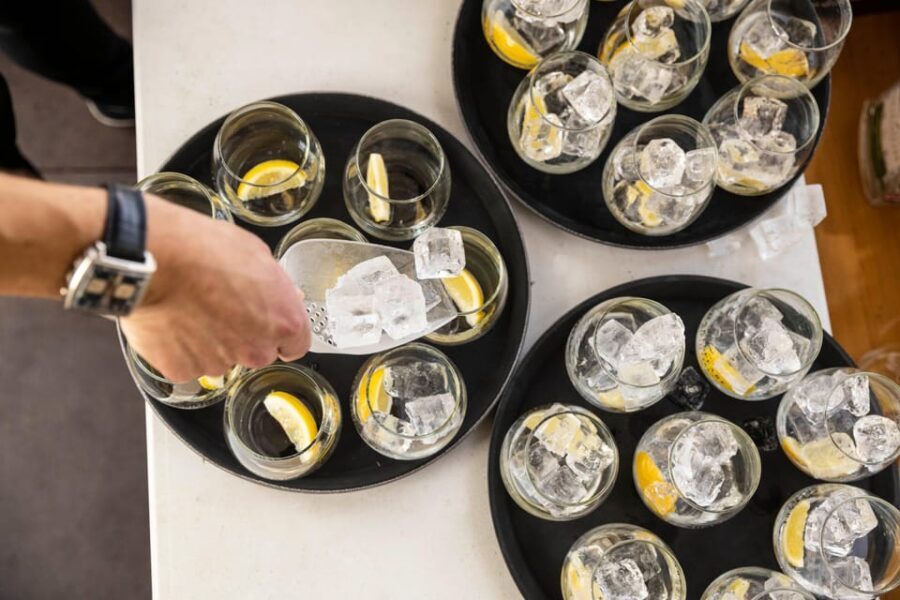 River Avon Gin Tasting Cruise - An In-Depth Look at the Experience