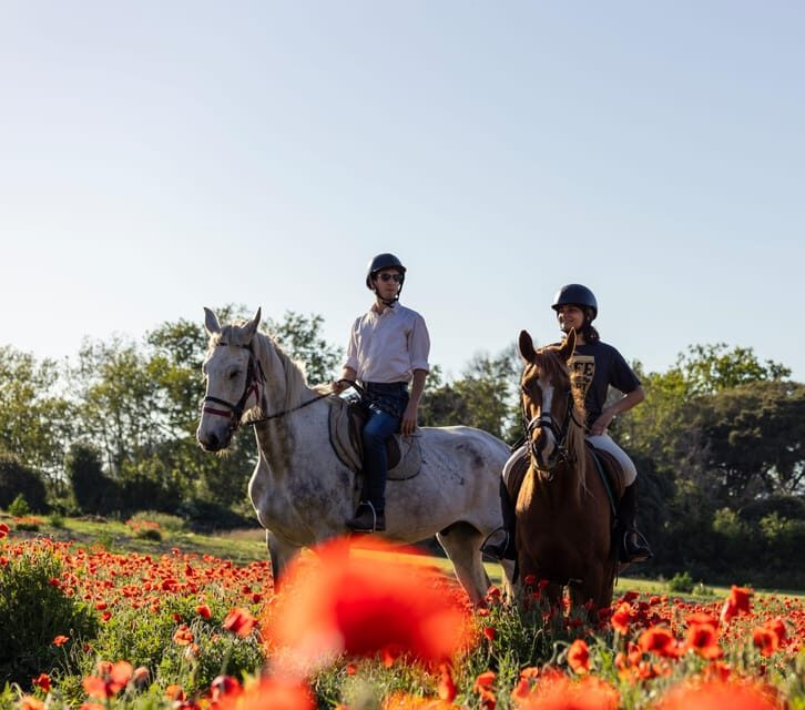 Romantic Day in Ancient Rome - Price and Overall Value