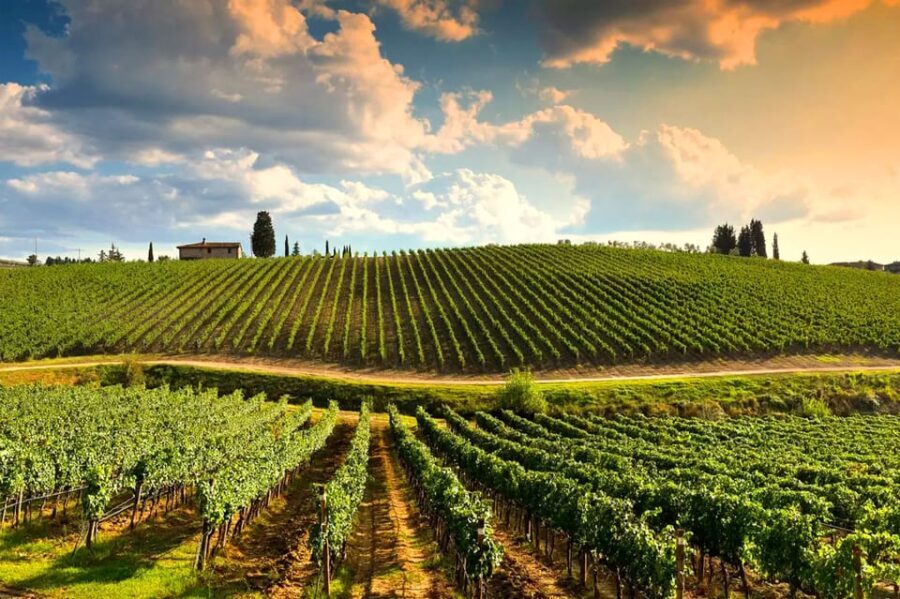 Romantic Escape in Tuscany with Overnight and Wine Tasting - Practical Details: Price, Value, and Logistics