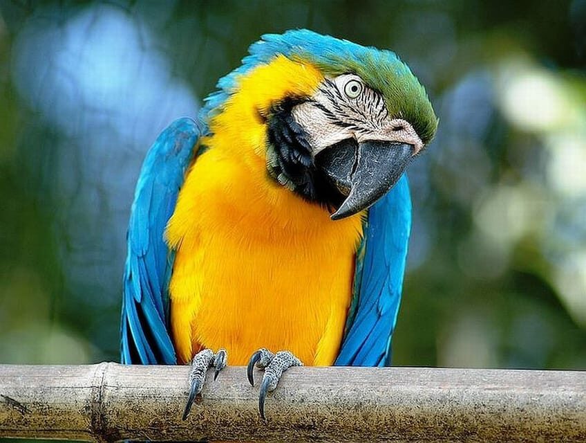 Rome: Bioparco di Roma Zoological Garden Entry Ticket - Practical Details: Tickets, Entrance, and Accessibility