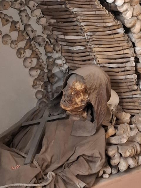 Rome: Bone Crypts Express - Tour in ENGLISH with tickets - Who Will Enjoy This Tour?