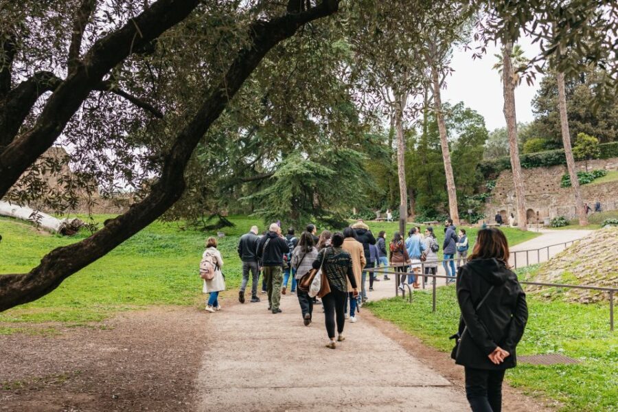 Rome: Colosseum, Palatine Hill & Roman Forum Guided Tour - Practical Details: Making the Most of Your Tour