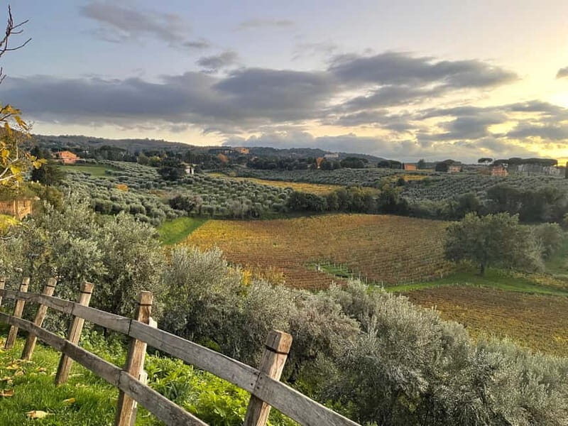 Rome Countryside: Wine Tasting Tour with Private Driver - The Cultural and Culinary Significance