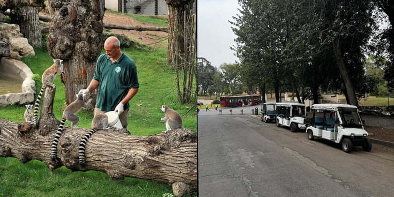 Rome: Entrance ticket to the Zoo+Tour by Golf Cart in Villa Borghese - Skip-the-Line Access to Rome’s Oldest Zoo