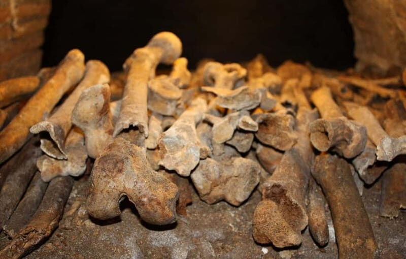Rome: Half Day Tour to Discover the Underground Secrets - A Deep Dive Into the Itinerary