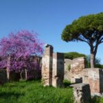 Rome: Private Ostia Antica Tour - Analyzing Value and Experience