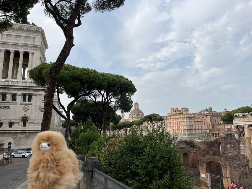 Rome: Private Walking City Tour with a Guide - Practical Tips for Travelers