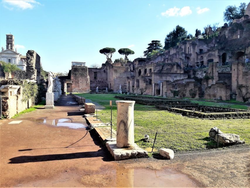 Rome: Vatican & Colosseum Experience with Lunch & Transfers - What We Love About This Tour