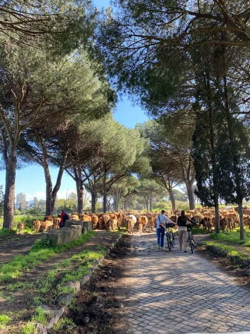 Rome:Appian Way E-bike Tour, Catacombs, Aqueducts & Transfer
