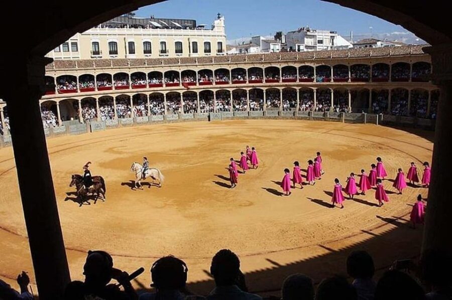 Ronda and Marbella Private Tour From Malaga and Surronds - The Itinerary Explored