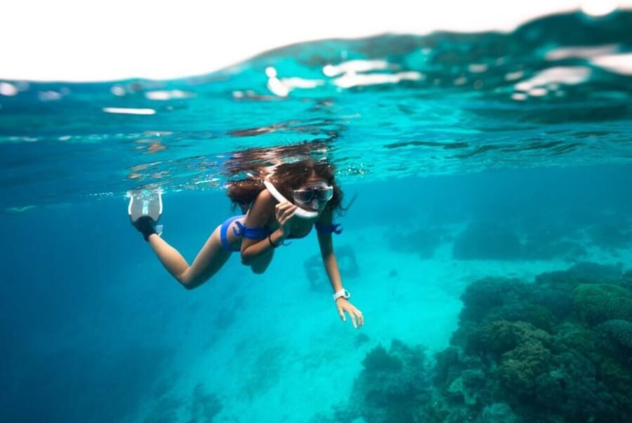 Roses boat trip Special: snorkeling in Cap de Creus - Practical Tips for Booking and Enjoying the Tour