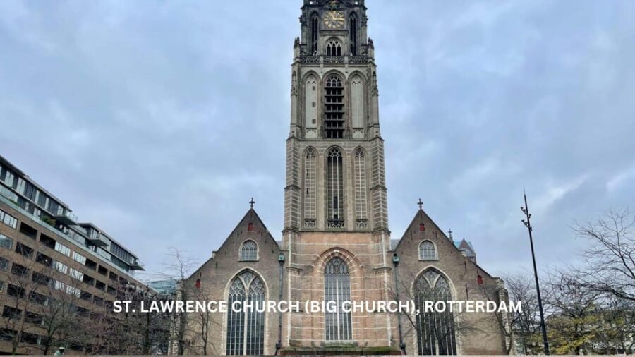 Rotterdam and Kinderdijk Daily Walking and Boat Tour - Who Will Love This Tour?