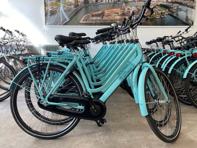 Rotterdam: City Highlights Guided Bike Tour - Why This Tour Is Worth Considering