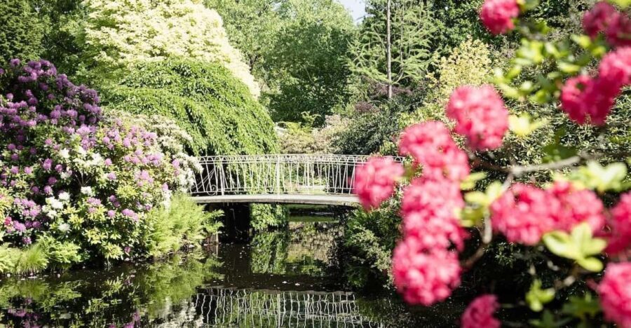 Rotterdam: Trompenburg Botanical Gardens Entry Ticket - What to Expect: A Walk Through Trompenburg