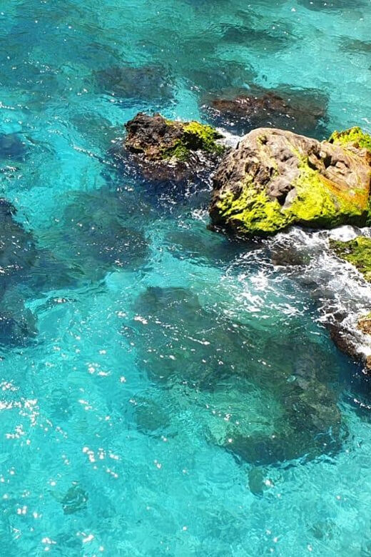 Ruta libre en paddel surf por la cascada de Nerja y Maro - What to Expect from the Experience