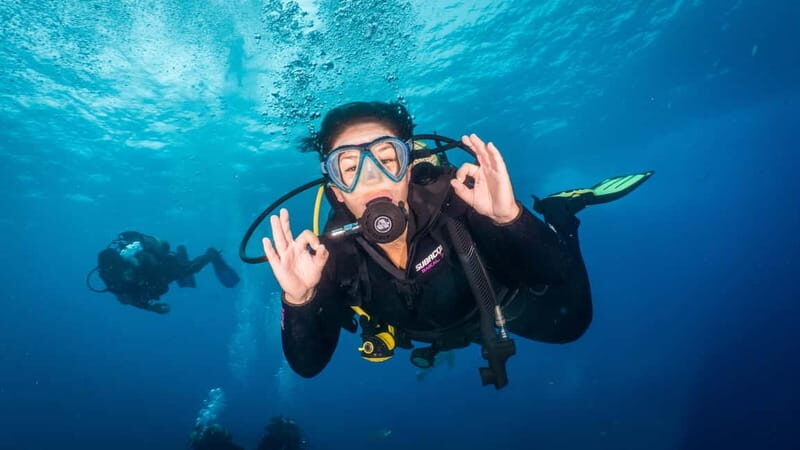 S Tenerife: Guided Boat Dive for Qualified Divers - The Itinerary in Detail