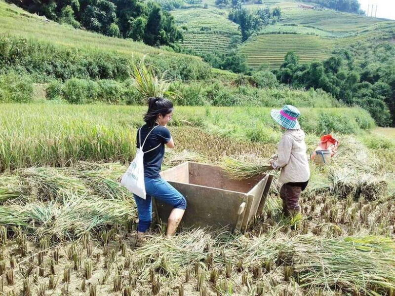 Sa Pa: Muong Hoa Valley Trek and Local Ethnic Villages - Sa Pa: Muong Hoa Valley Trek and Local Ethnic Villages