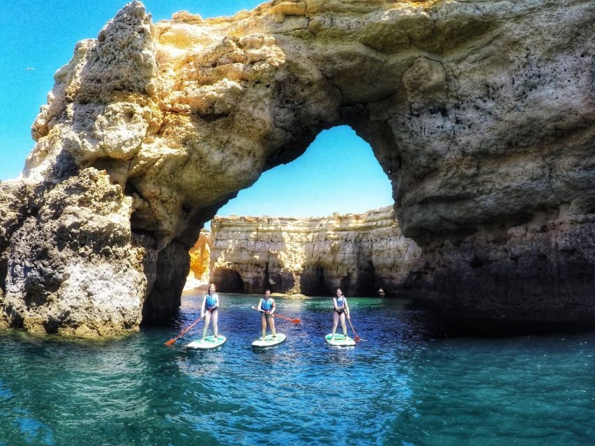 Safari & Kayaking - Coastal Kayaking: Secrets of the Sea