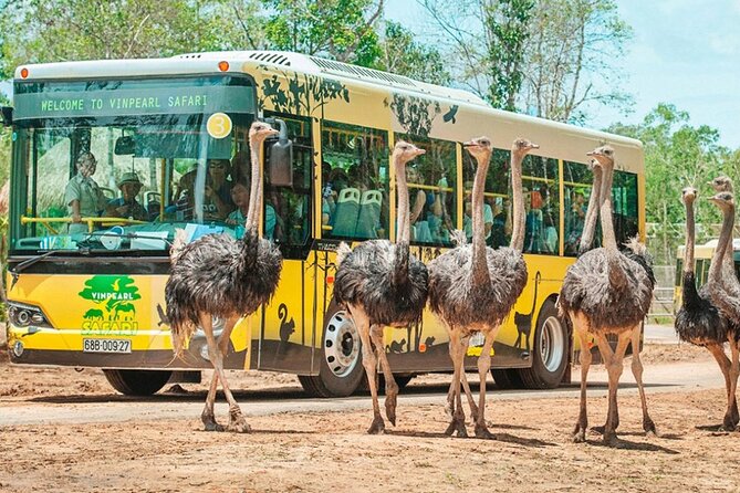 Safari Phu Quoc Ticket With Roundtrip Transfer - Detailed Breakdown of the Itinerary