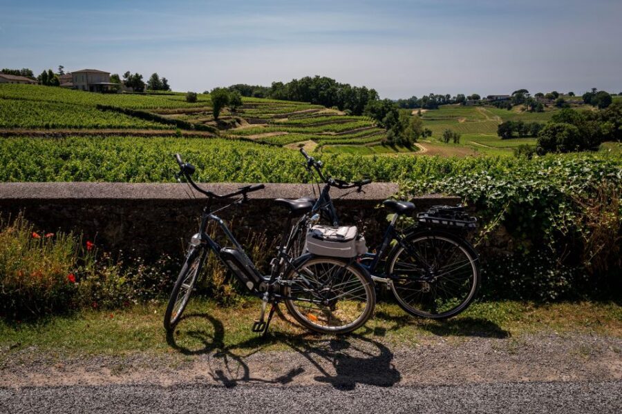 Saint Emilion Half Day Ebike and Wine Tour with Picnic - Value and Practicalities