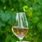 Saint-Tropez: Small Group Wine Tour - Who Is This Tour Best For?