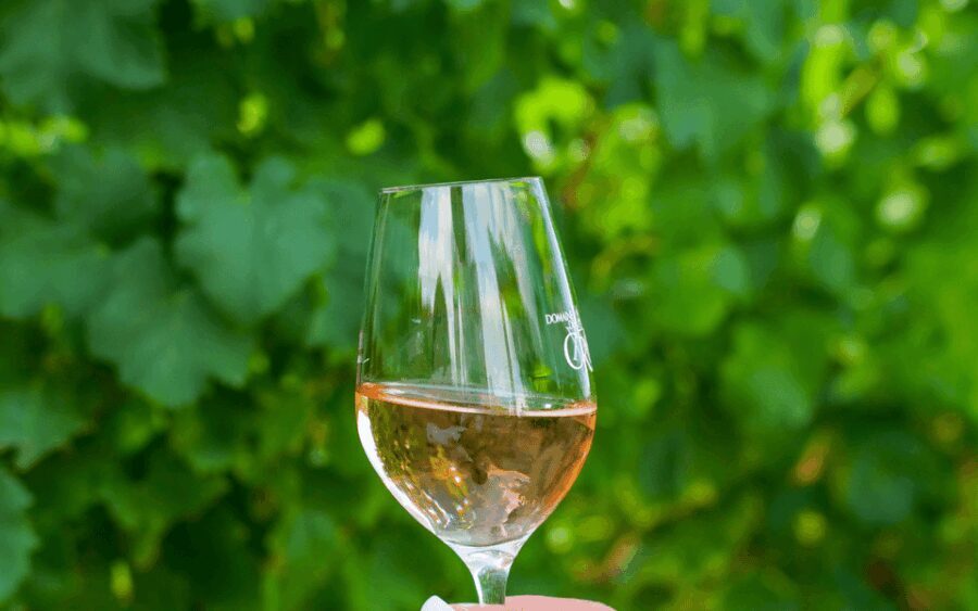 Saint-Tropez: Small Group Wine Tour - Who Is This Tour Best For?