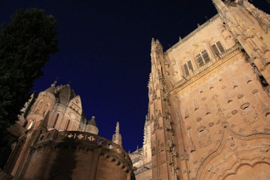 Salamanca: Evening Sightseeing Walking Tour - What Makes This Tour Special?