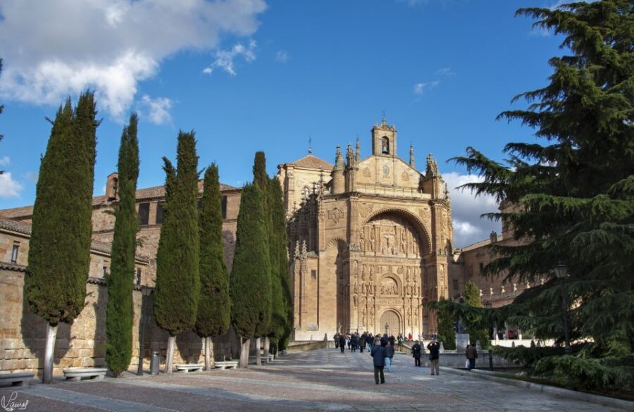 Salamanca: Private Sightseeing & Cultural Walking Tour - Cathedral of Salamanca